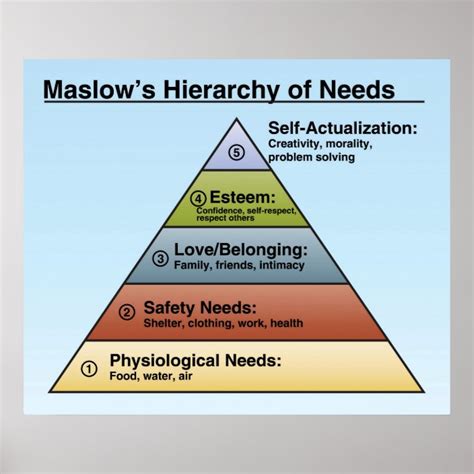 Maslow S Hierarchy Of Needs Classroom Poster Zazzle Co Uk