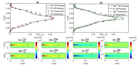 Transverse Concentration Profiles At The Outlet Of The 2 D Download Scientific Diagram