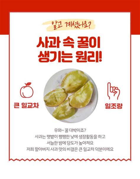 사과 과일 상세페이지 기획촬영디자인 상세페이지 포트폴리오 크몽