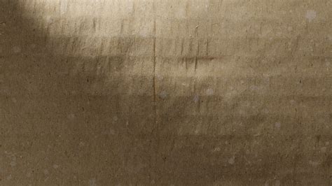 Cardboard Pbr Texture Blender Market