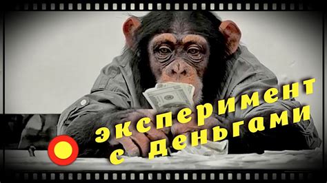 🔴 Эксперимент с деньгами Youtube