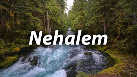 Nehalem River Level Oregon River Water Levels