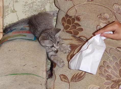 А чего он Aywen — Livejournal