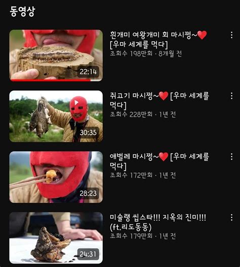컨텐츠 이익창출을 노리지 않은 100만 유튜버 유머움짤이슈 에펨코리아