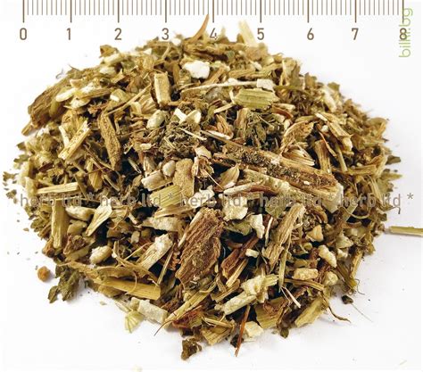 Девесил стрък при уринарни инфекции Levisticum Officinale 100 гр