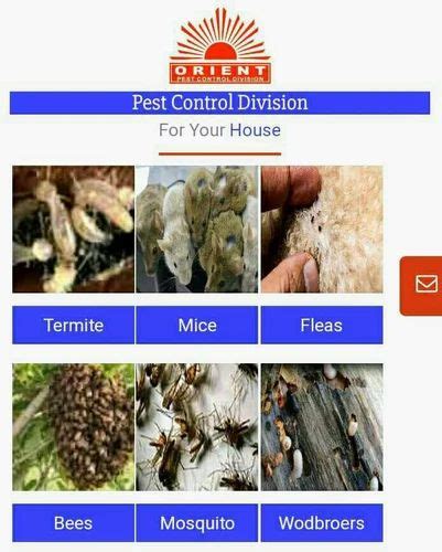 Bed Bugs Pest Control At Rs 8square Feet Bed Bugs Control बेड के