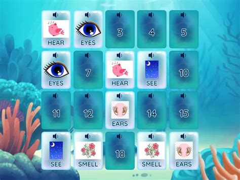 Memory Five Senses Matching Pairs