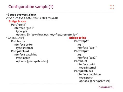 Virtualized Network With Openvswitch Pdf Computer Networking Computing