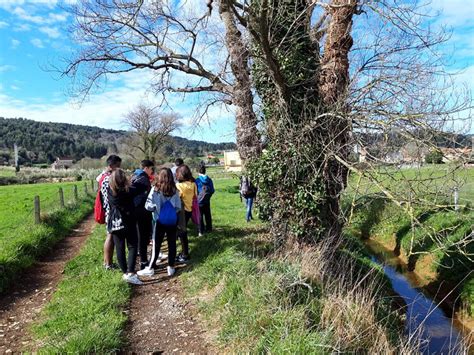 La Escuela De Medio Ambiente Celebrará Del 2 Al 6 De Noviembre Un