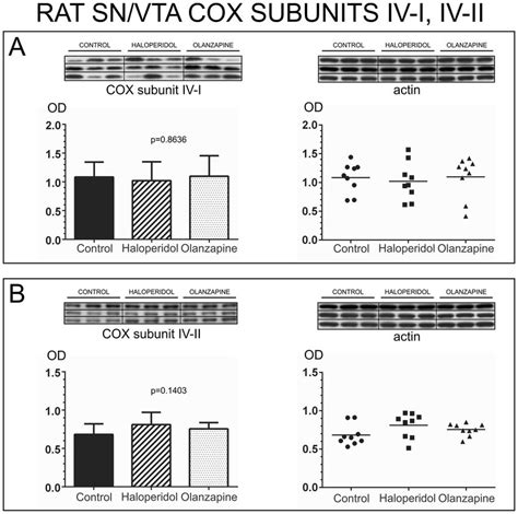 Analysis Of Cytochrome C Oxidase Subunits Iv I And Iv Ii In The Snvta Download Scientific
