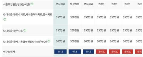 유럽 여행 준비 여행자 보험 고르는 팁 필수로 확인해야 하는 항목 네이버 블로그