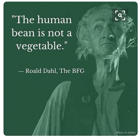 Quotes The Bfg By Roald Dahl A New Film By Disney Artofit