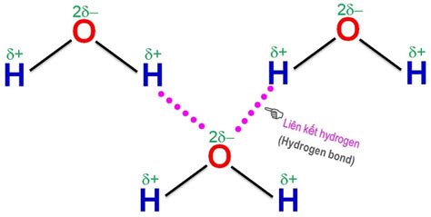 Liên kết hydrogen là gì Cấu tạo tính chất của liên kết hydrogen