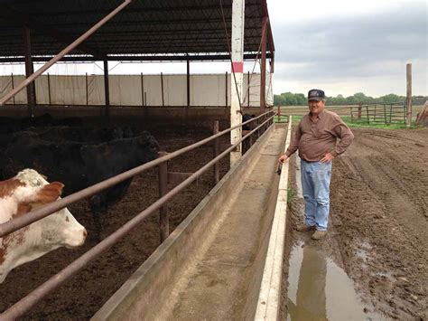 Cattle Feed Bunks