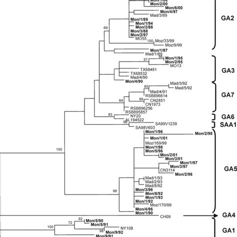Phylogenetic And Antigenic Analysis Of Group A Human Respiratory