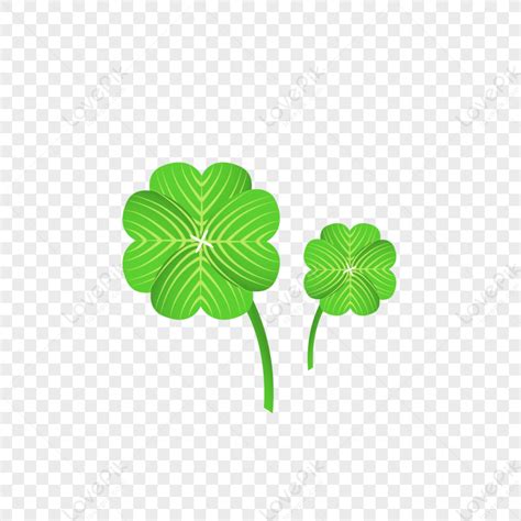Vector Clover The Lucky Grass Decoration Leaf Leaf Weeds Clover Png