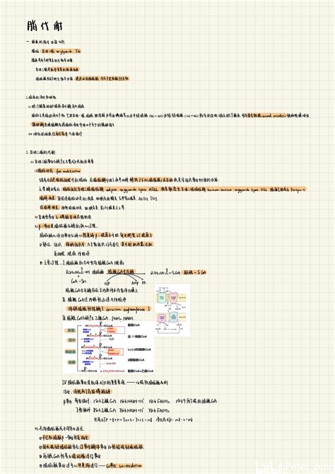 【生化笔记】脂代谢—metabolism Of Lipids 哔哩哔哩