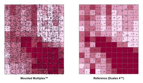 Example Of The Grid Generated To Create A Common Framework For The Mxm