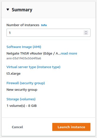 Launching An Instance Tnsr Documentation