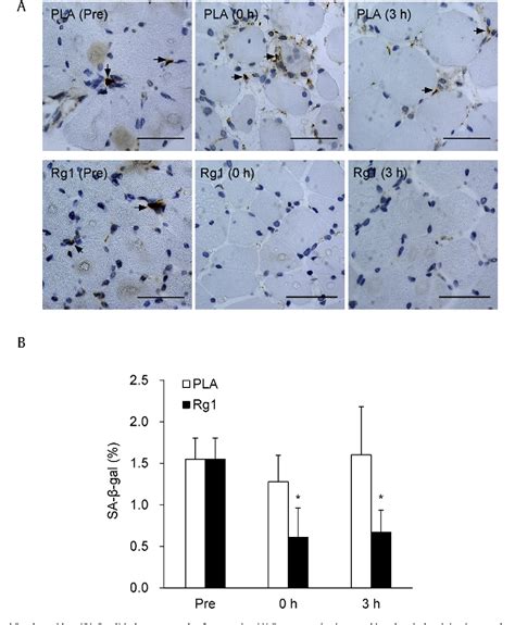 Figure 1 From Ginsenoside Rg1 Supplementation Clears Senescence