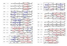 Structure Based Sequence Alignment Of Template Initial And Final