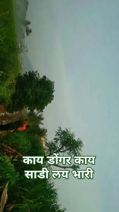 पाऊस खूप झाला आहे आणि मस्त धुई खूप मस्त वातावरण झाले डोंगर हिरवेगार