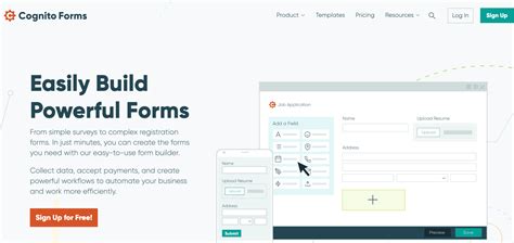 Top 10 Fillout Forms Alternatives Low Code No Code