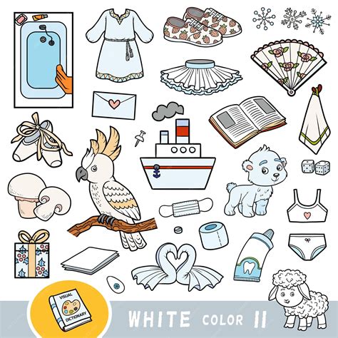 Premium Vector Colorful Set Of White Color Objects Visual Dictionary
