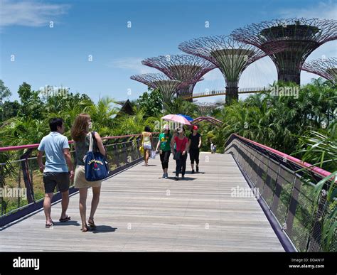 Dh Supertree Grove GARDENS BY THE BAY SINGAPORE Supertrees Vertical