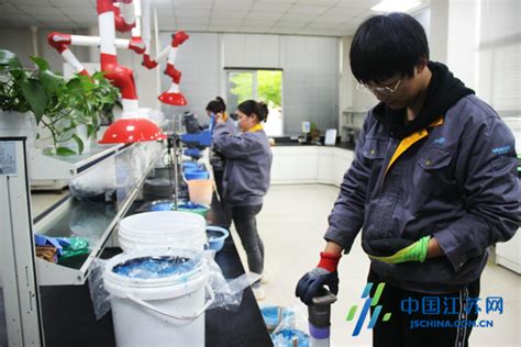 东台市南沈灶镇：立足“四个聚焦” 奋力冲刺首季开门红中国江苏网