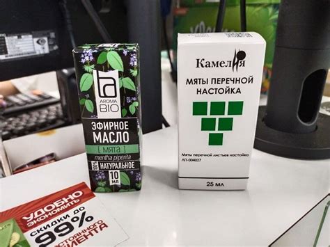 Как всего за 160 рублей избавиться от мышей в доме способ таёжных охотников Forumhouse Дзен