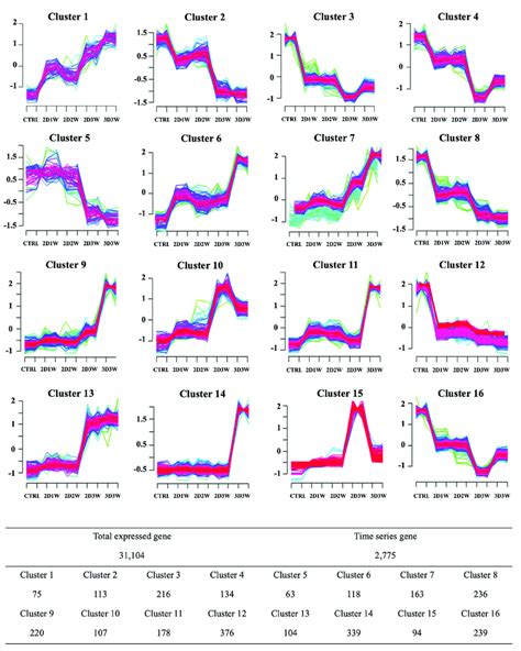 Clustering Analysis Of Time Series Genes During Osteoblast