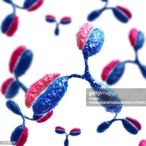 339 Immune Cells White Background High Res Illustrations Getty Images