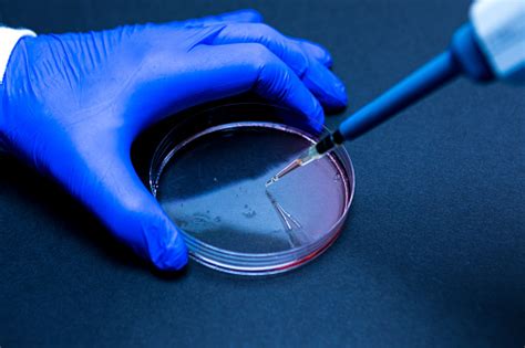푸른 환경이 있는 실험실에서 페트리 접시에 액체 한 방울을 떨어뜨리는 파이펫의 디테일 페트리 접시에 대한 스톡 사진 및 기타