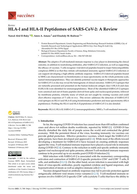 Pdf Hla I And Hla Ii Peptidomes Of Sars Cov 2 A Review