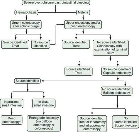 Gastrointestinal Bleeding Abdominal Key