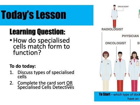 Specialised Cells Teaching Resources