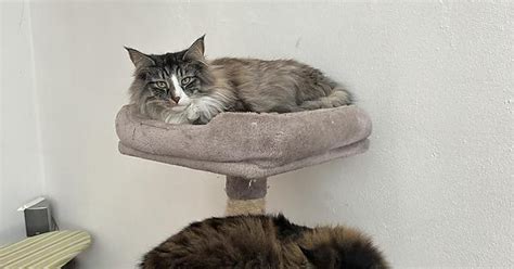 1 2 3 Album On Imgur