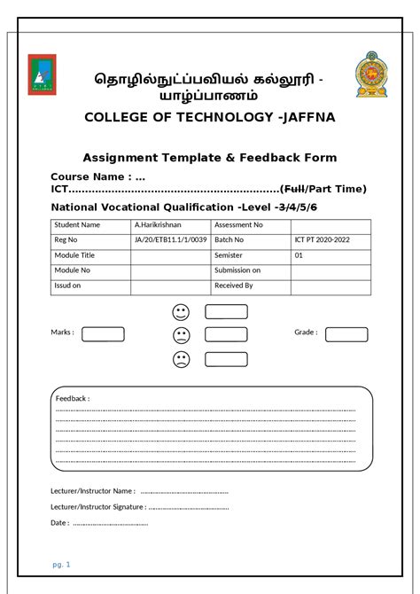 Programing Security Ppt Assignments Information And Communications