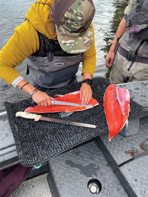 Fishing Ethics Fish Alaska Magazine