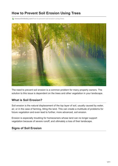 PPT How To Prevent Soil Erosion Using Trees Trees Unlimited LLC PowerPoint Presentation ID