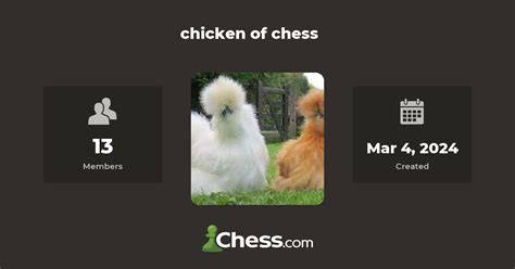 Chicken Of Chess Chess Club