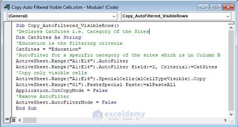 How To Autofilter And Copy Visible Rows With Excel Vba Exceldemy