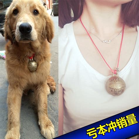 Are Collar Bells Bad Dog