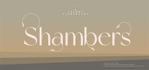 우아한 결혼식 알파벳 문자 글꼴 및 숫자 타이포그래피 럭셔리 클래식 레터링 세리프 글꼴 장식 빈티지 복고풍 개념 벡터 일러스트 레이 션 프리미엄 벡터