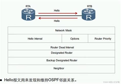 Ospf 邻居建立过程ospf建立邻居的过程 Csdn博客