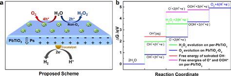 Role Of Oxygen Vacancies Of Ferroelectric Pbtio 3 In Photocatalytic