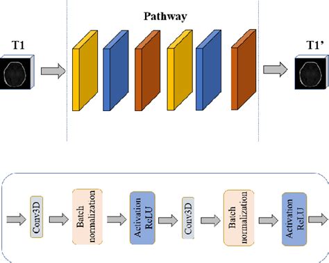 Figure 1 From Classifying Neonatal Acute Bilirubin Encephalopathy Based On Spatial Pathological