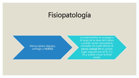 Anatomia De Oido Y Otitis Aguda Gpc Pptx